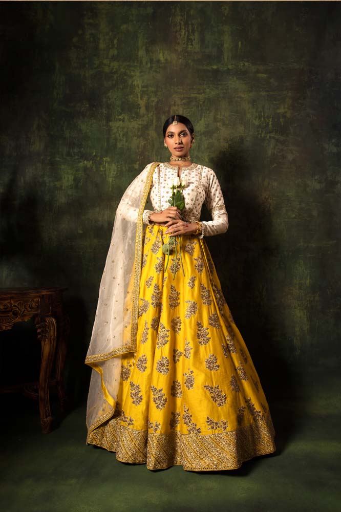 Canvas Grapes Green Painted Backdrop 547