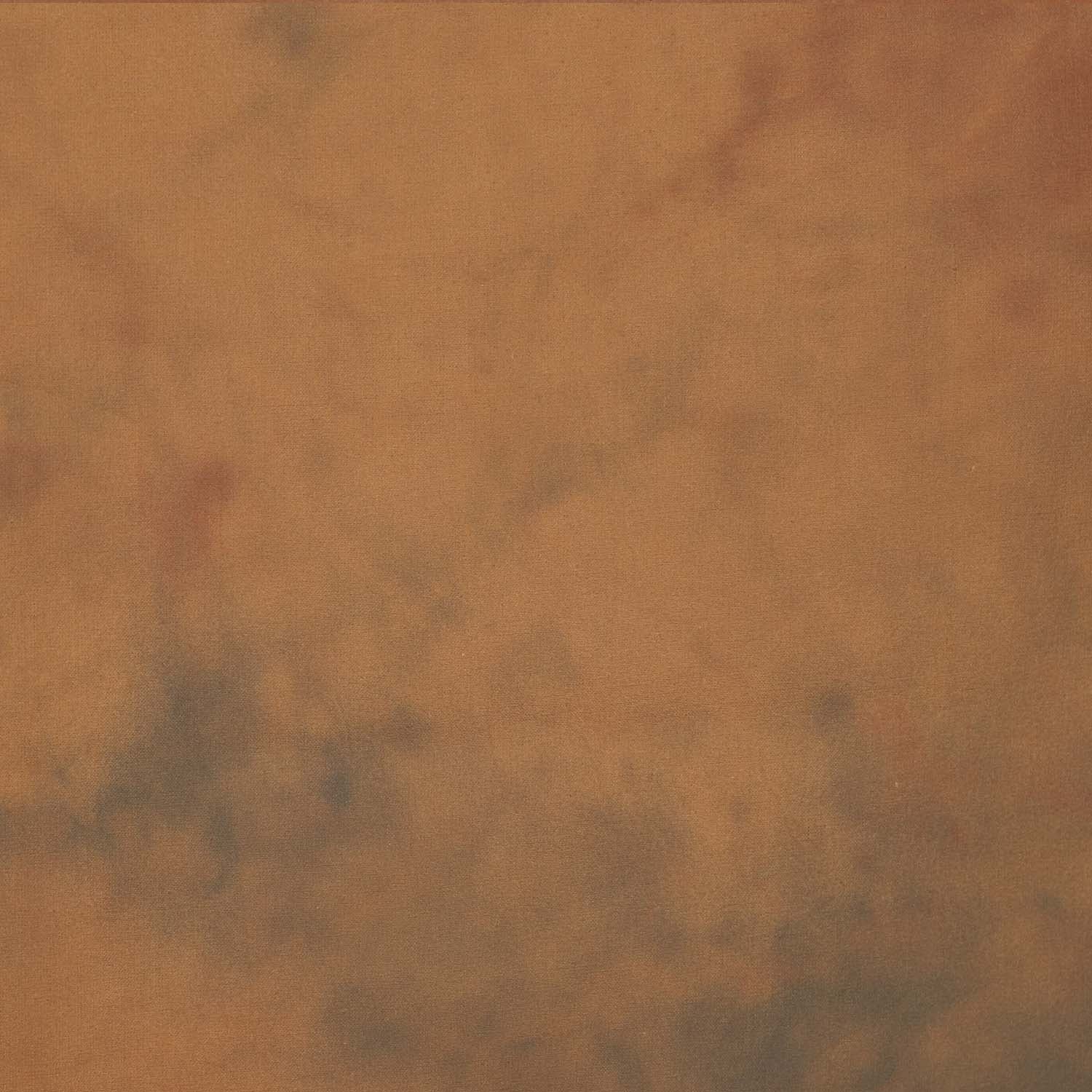 Brown Orange Hand Painted Mottled Muslin Backdrop AZ104BGHM