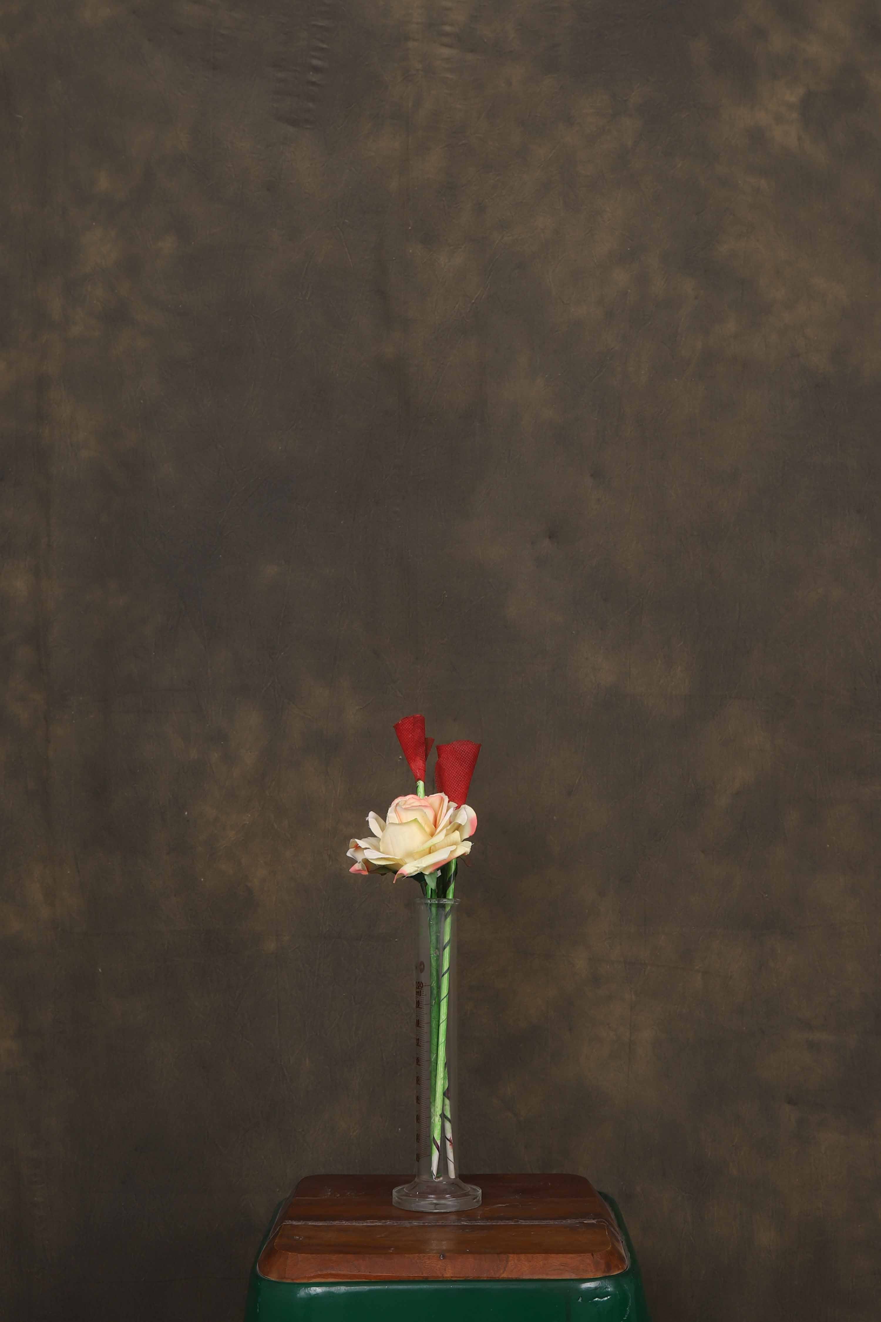 Light Brown Green Hand Painted Mottled Muslin Backdrop