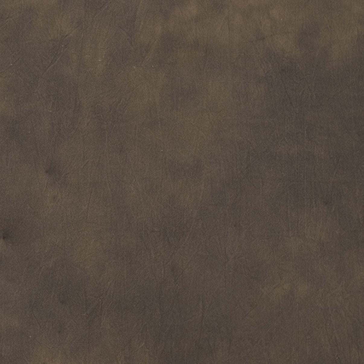 Light Brown Green Hand Painted Mottled Muslin Backdrop