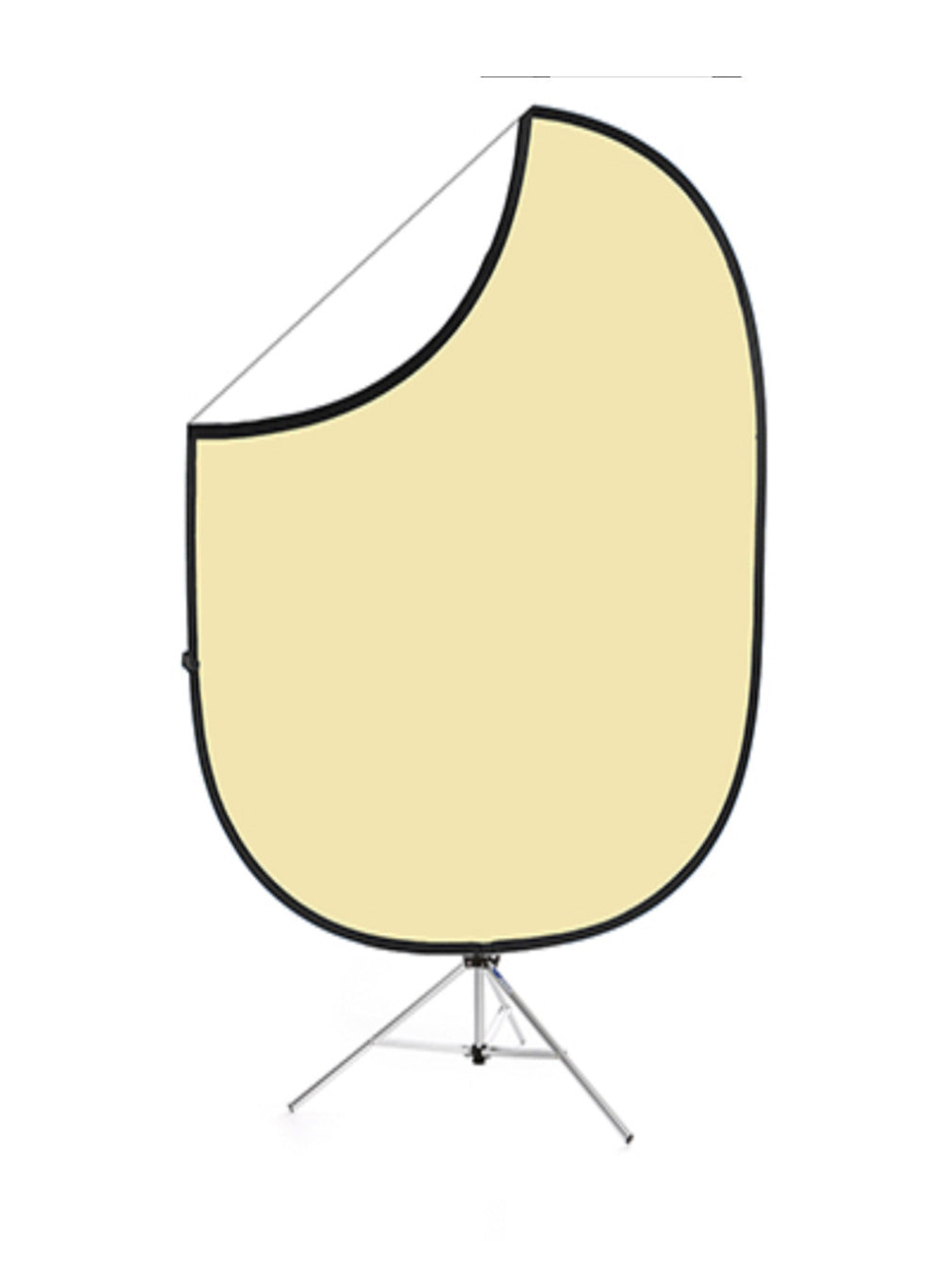 Cream/White Collapsible / Twistflex Backdrop